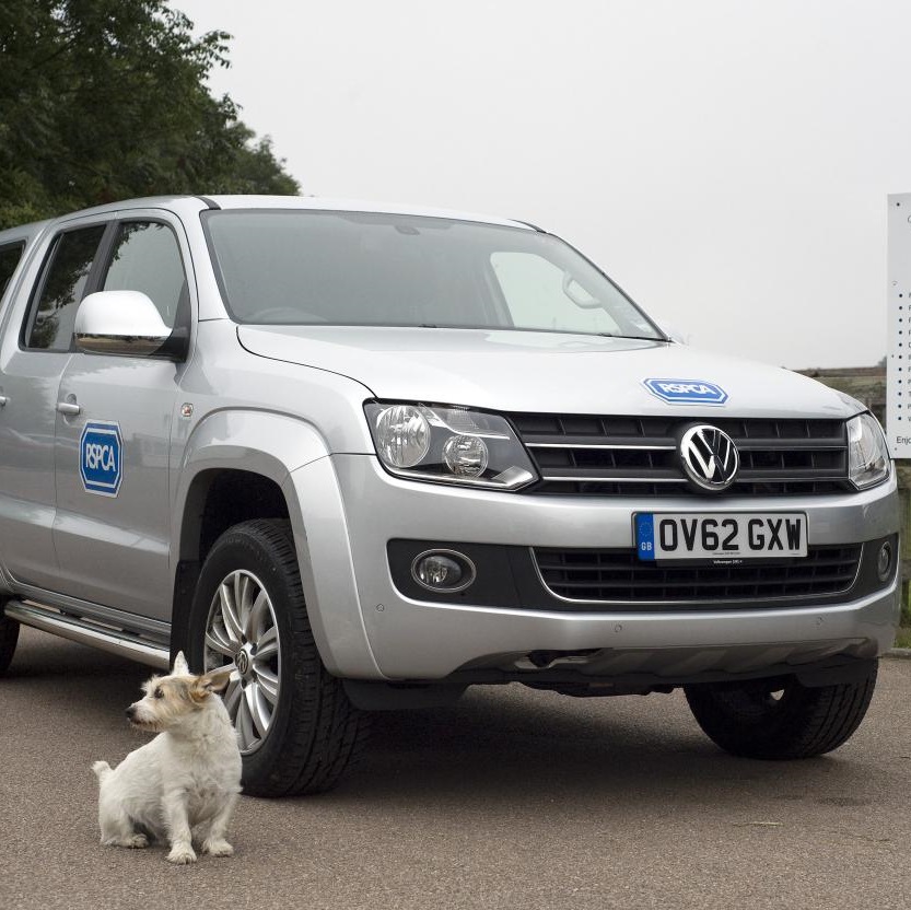 'Incredible' Volkswagen Amarok helps rehome 1,200 animals