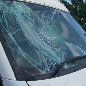 A year in review: The wackiest things to damage windscreens in 2016 ...