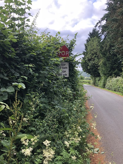 Obscured road signs: what to do and how to reduce risk - FleetPoint
